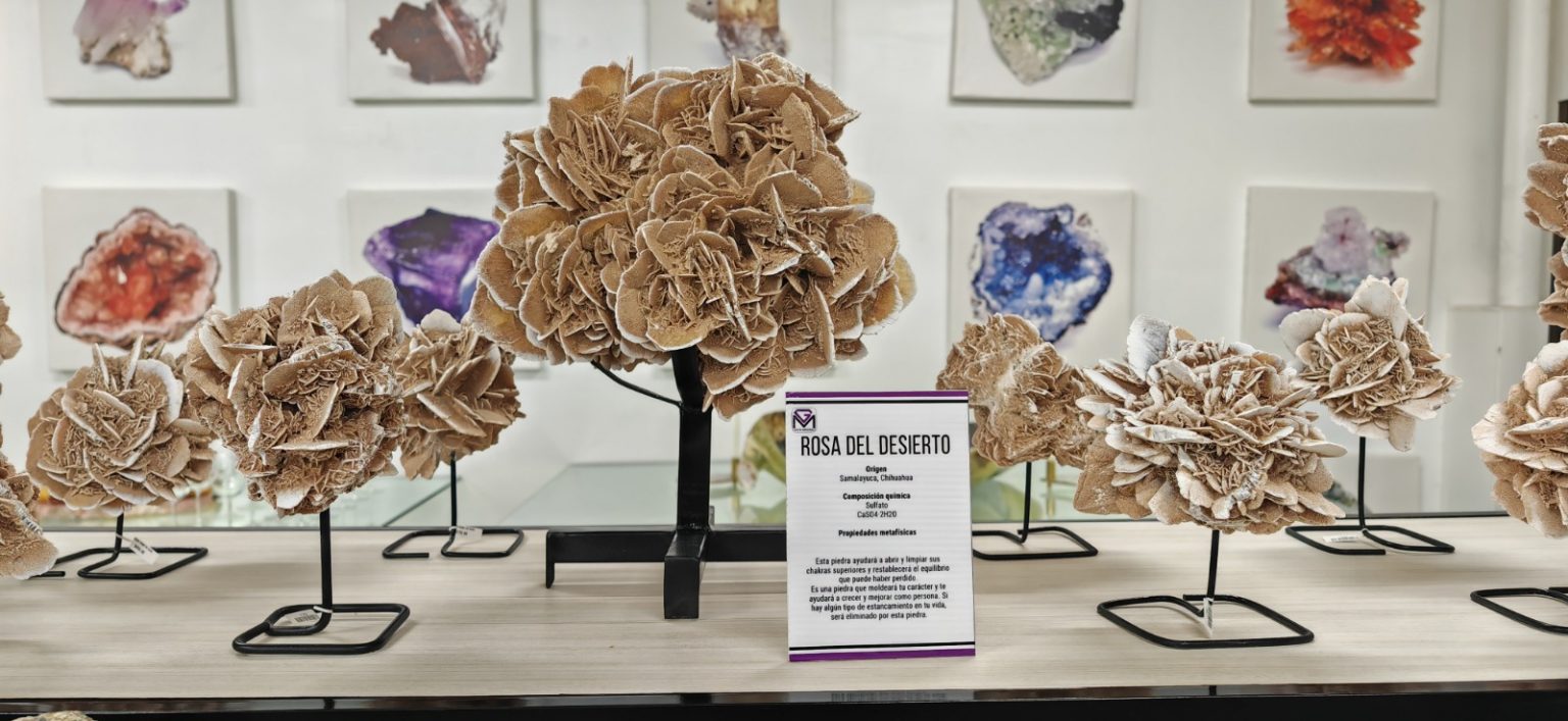 Samalayuca, un desierto por descubrir