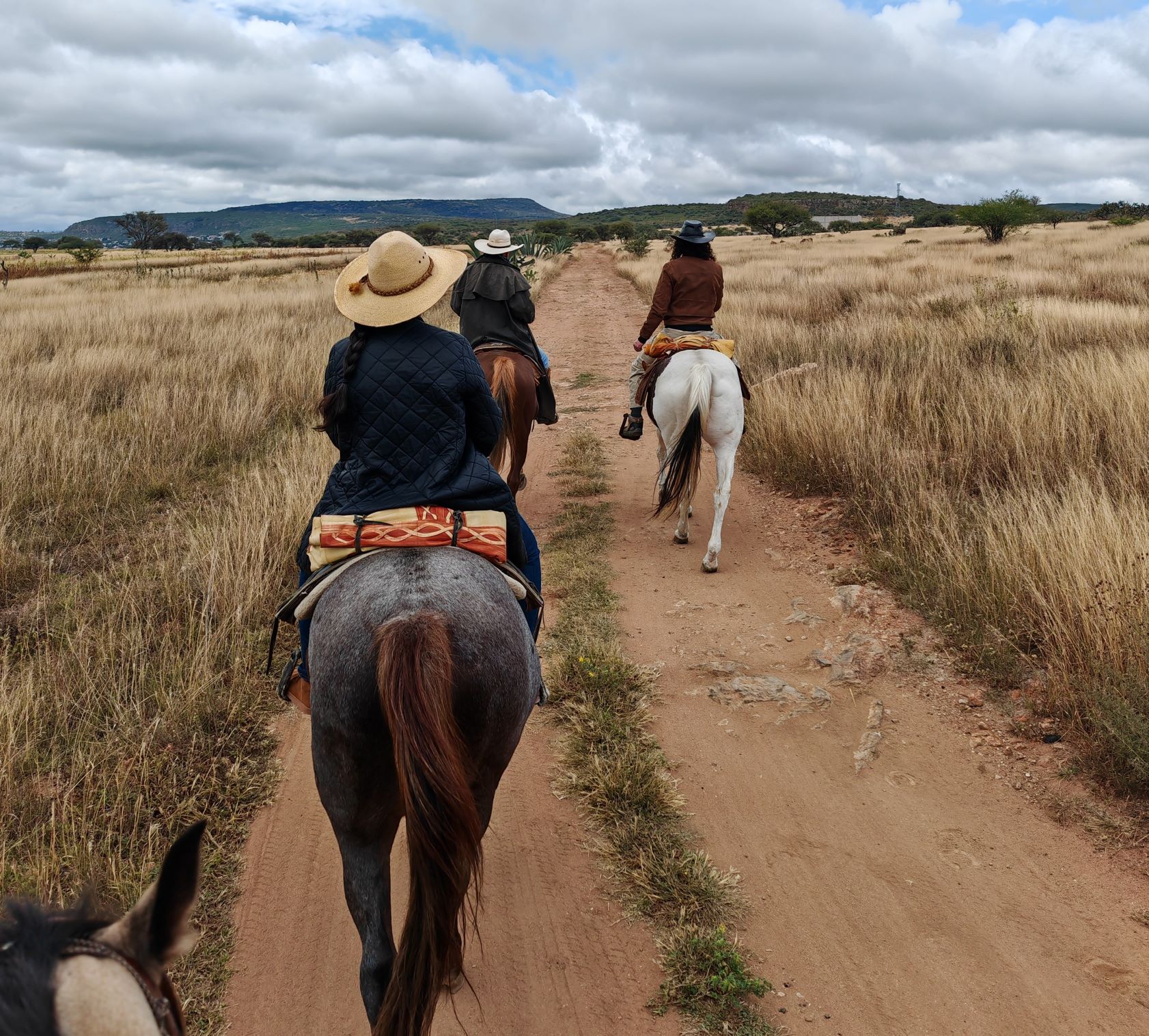 ¿Cabalgar en Tequis?, claro que es un muy buen plan - Viajes, estilo, sabores y algo más