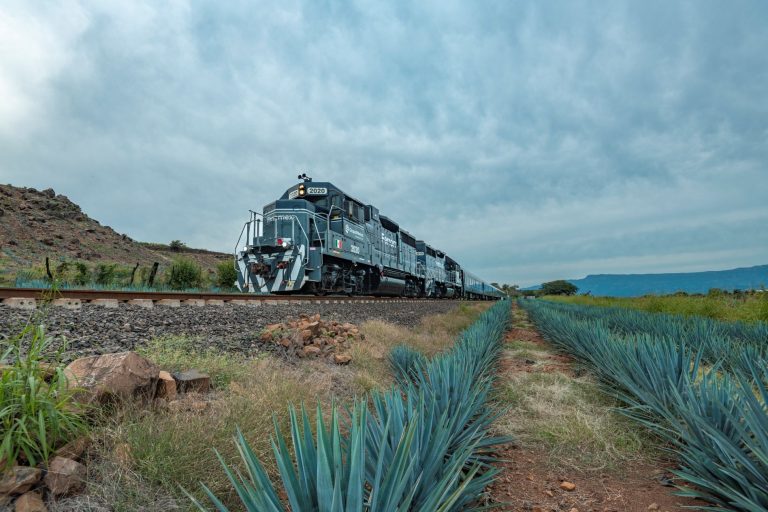 Tequila Express: un tren con mil historias por contar