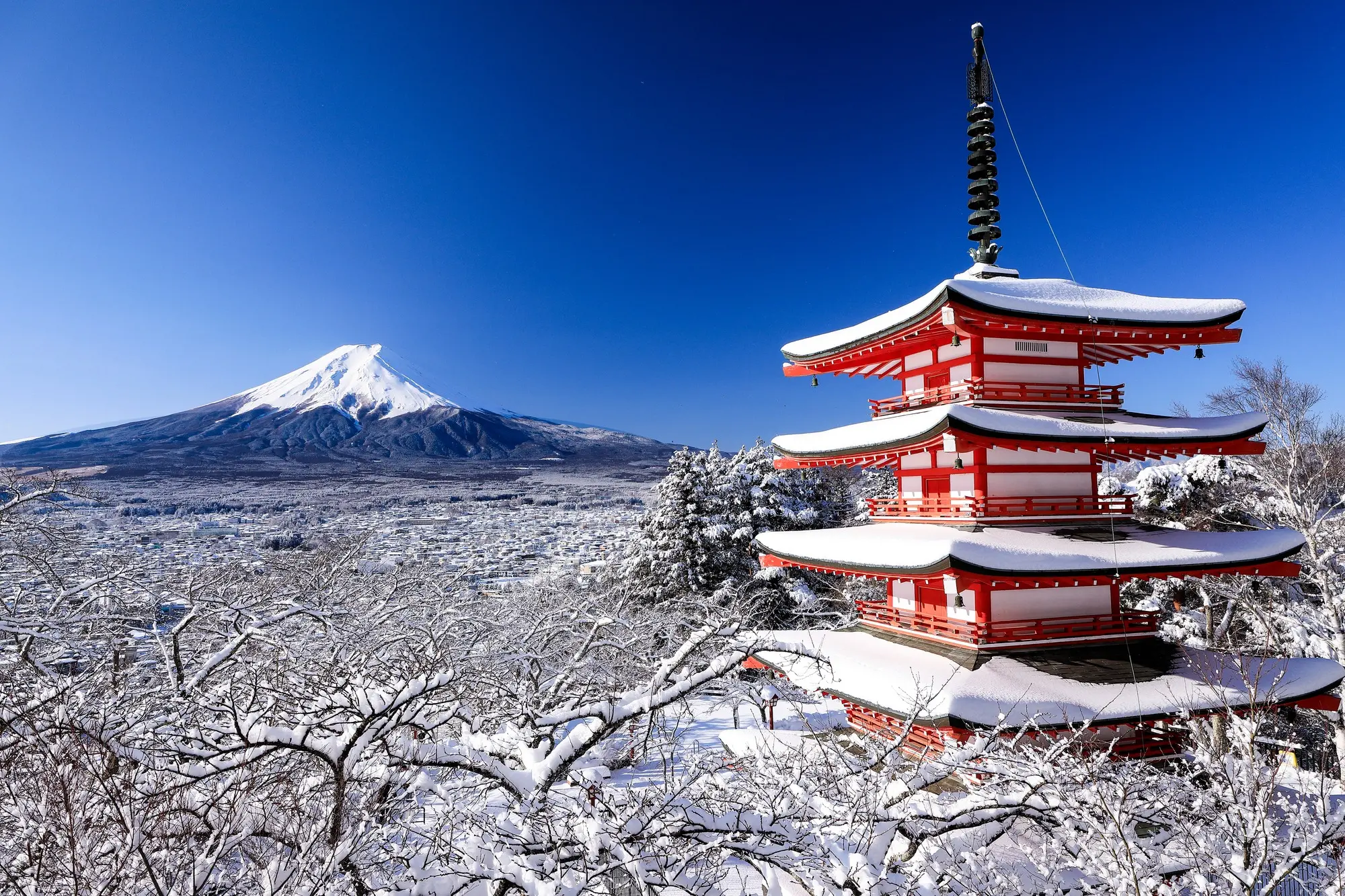 3 experiencias turísticas en Japón para conectar con su esencia